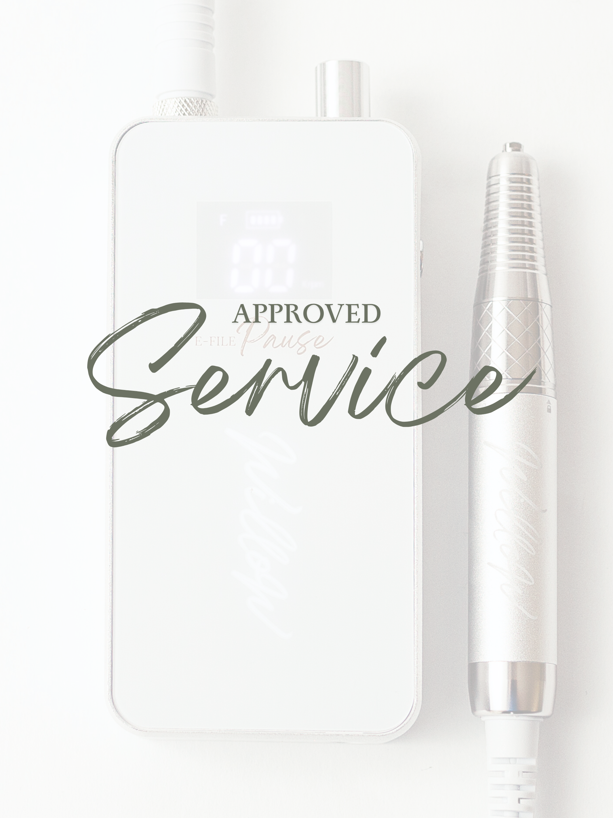 E-file Pause Service – Willow Academy